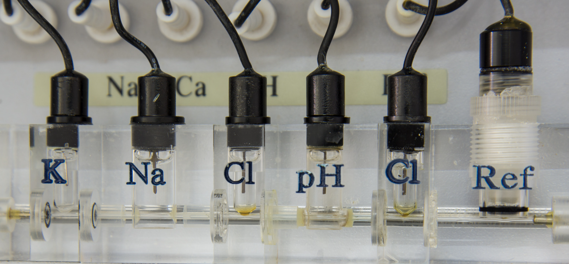 The Science Behind Electrolytes – Hydra